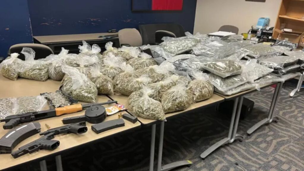 Dallas Police Seize 56 Kilos of Marijuana, Arrest Four in South Oak ...