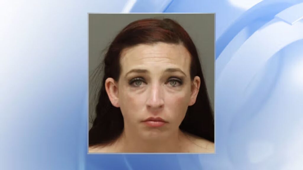 Mom Rammed Car in Gate with 9-year-old in Backseat; Arrested when found ...